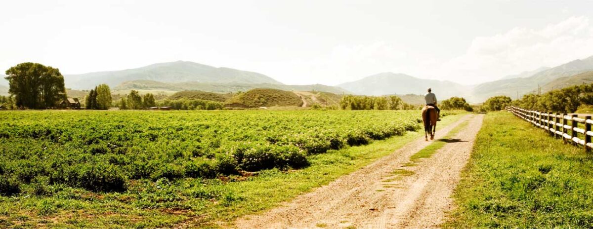 Premium Colorado Potato Vodka | Woody Creek Distillers